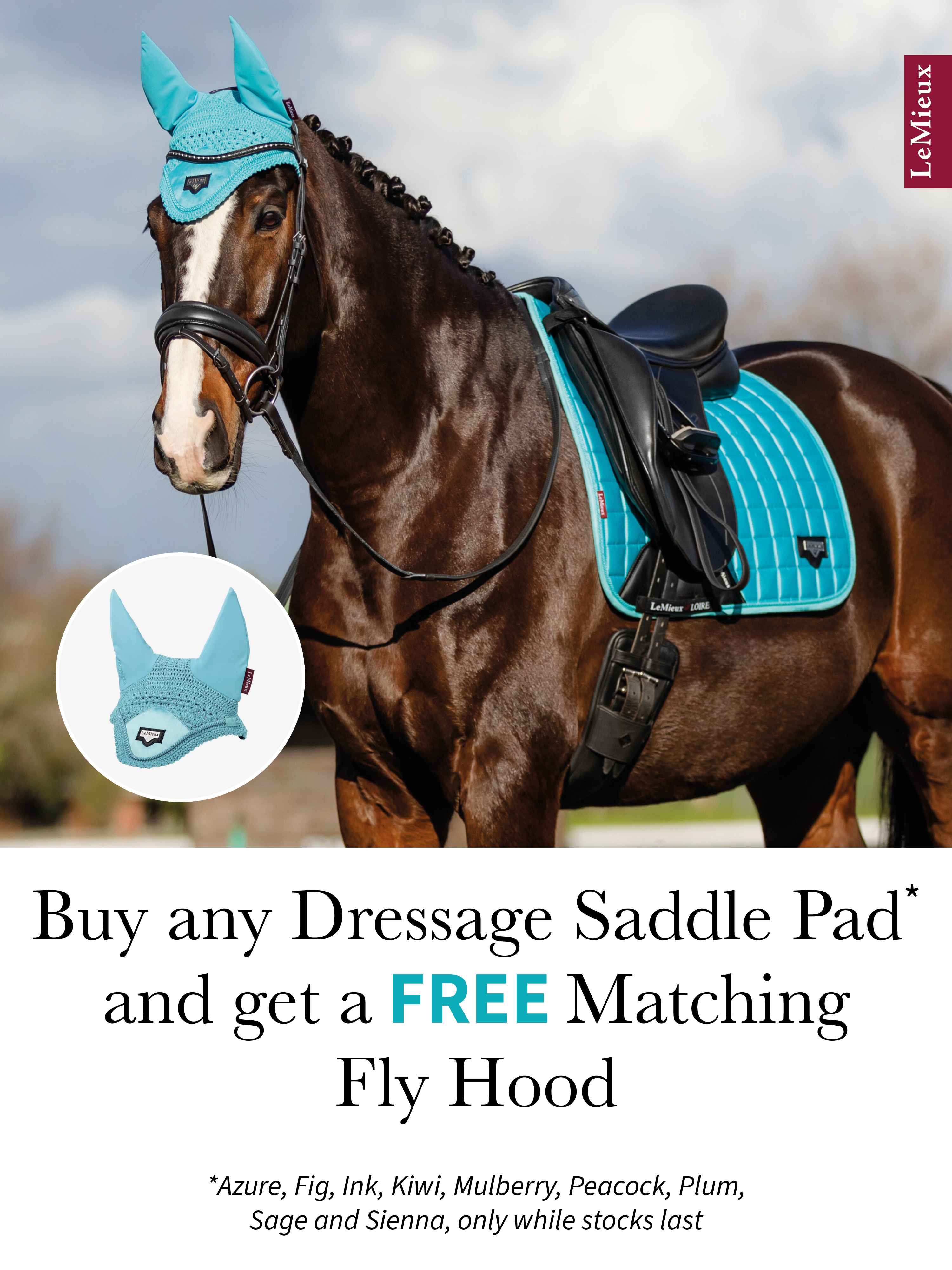 Tapis de selle dressage | LeMieux